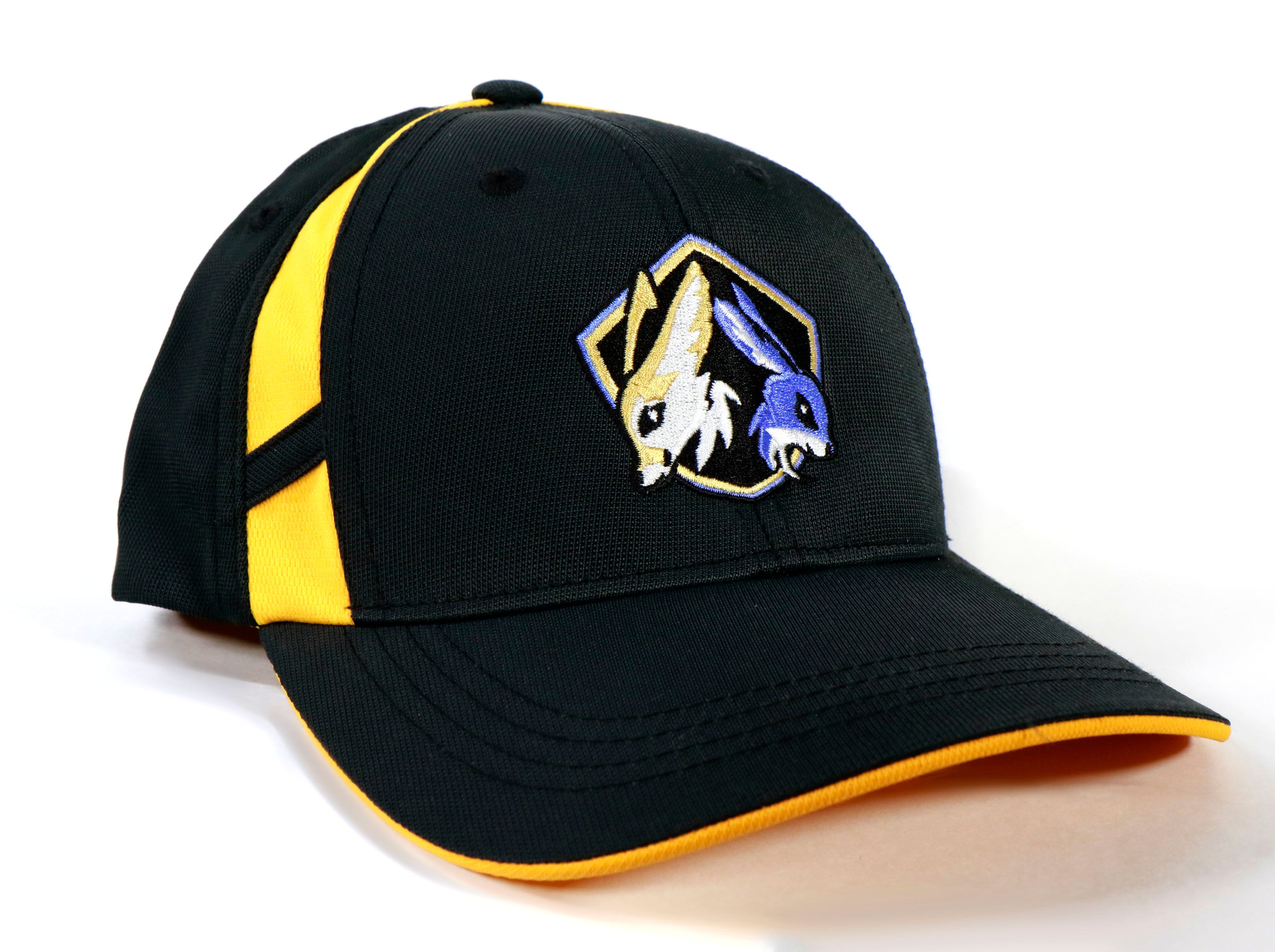 Snapback - 2024 (Furry University 2) | Furry Weekend Atlanta