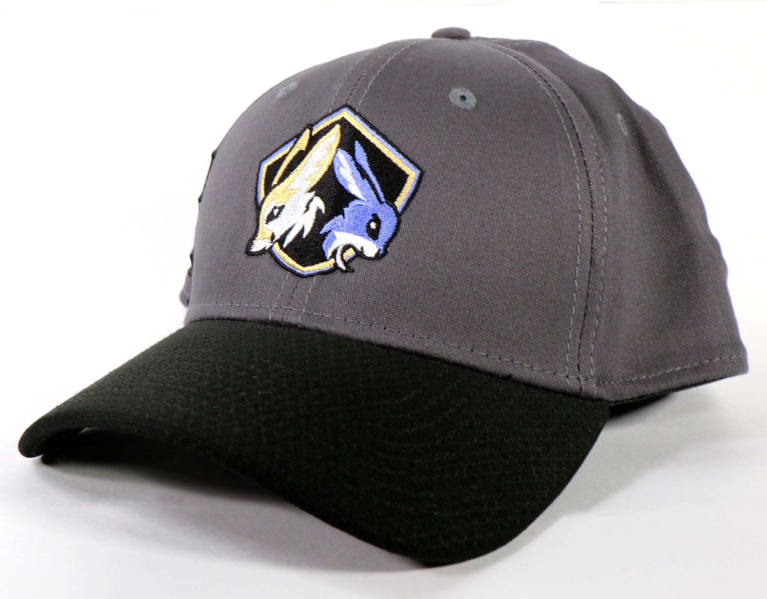 Baseball Cap - 2024 (Furry University 2) | Furry Weekend Atlanta